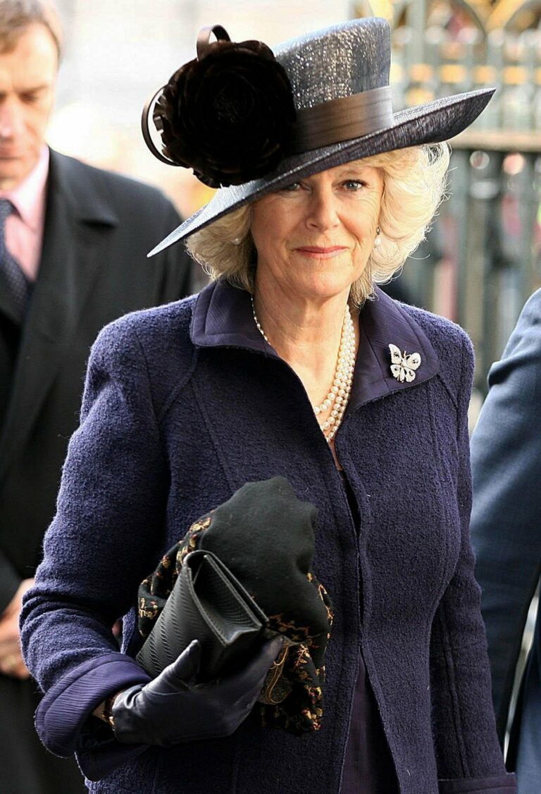 Queen Camilla Wears a Bejeweled Moth to Honor the Empress of Japan
