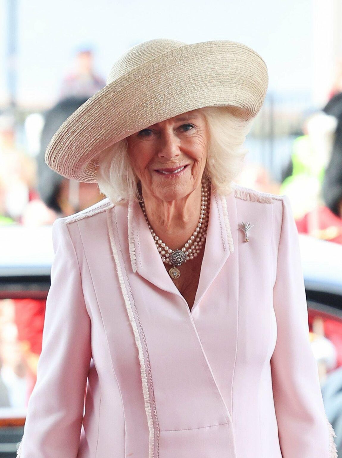 Queen Camilla Wears a Dazzling Diamond Leek in Wales
